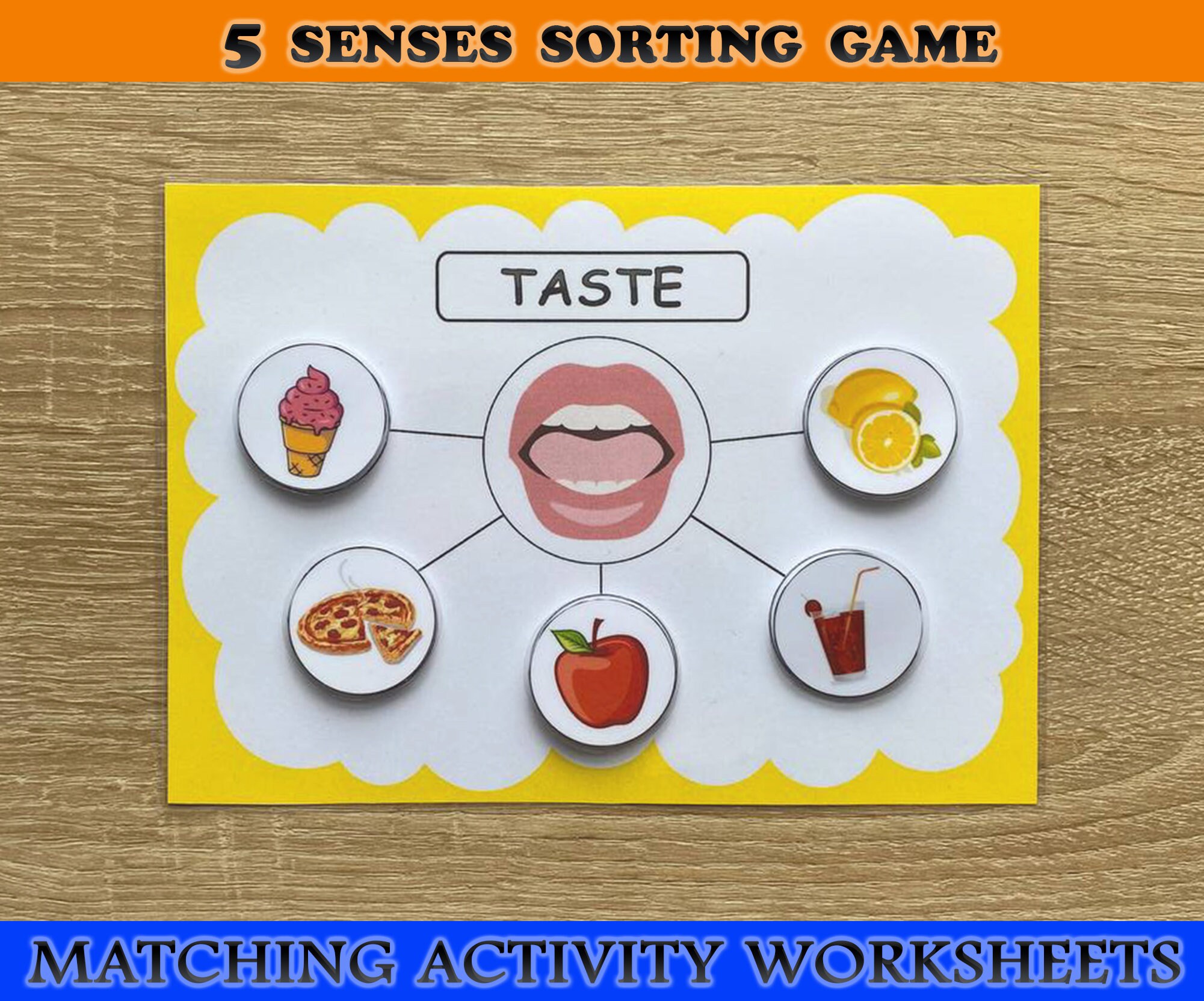 Five Senses Sorting Activity Printable 5 Senses Sorting - Etsy Australia
