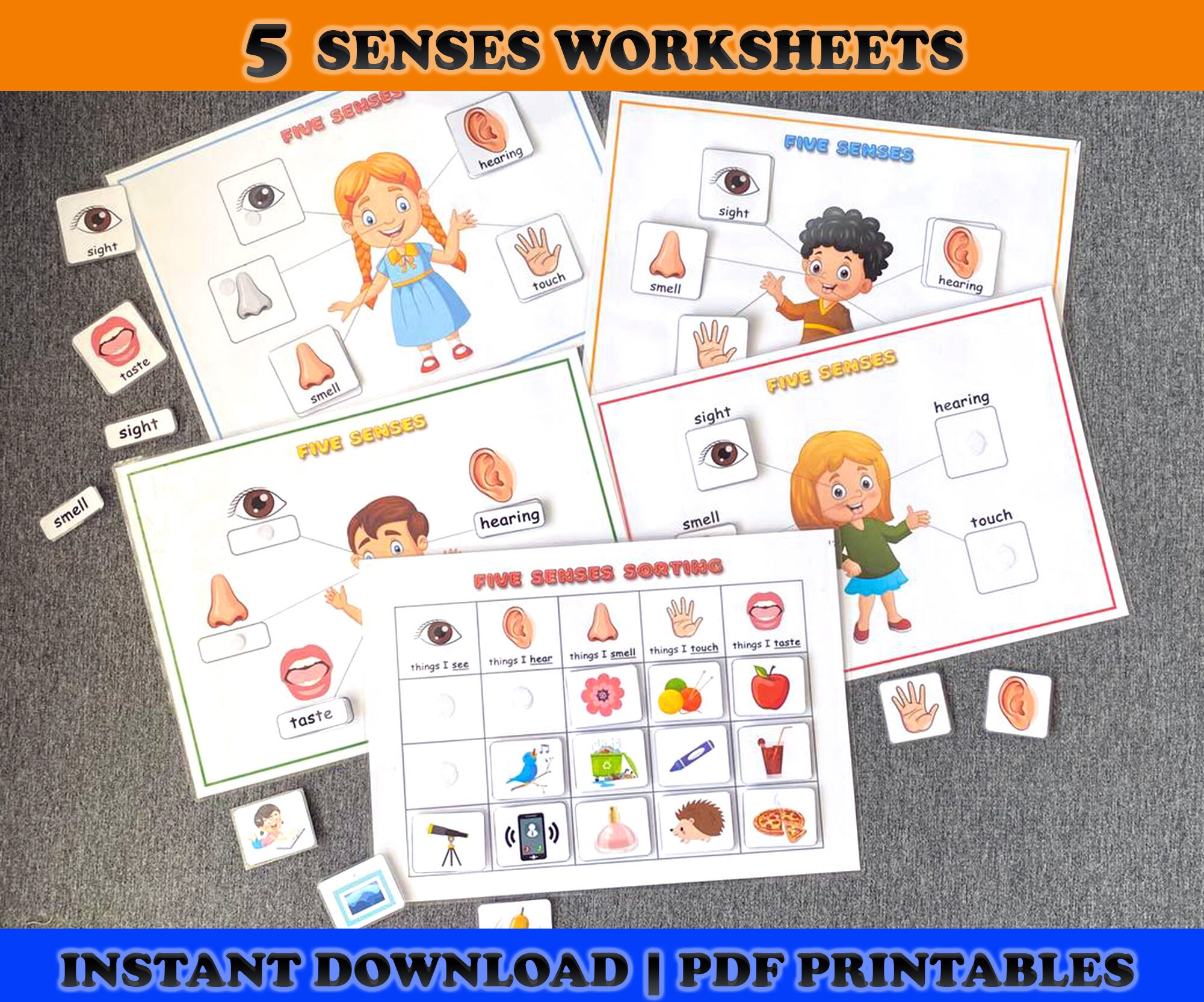The Five Senses Worksheets
