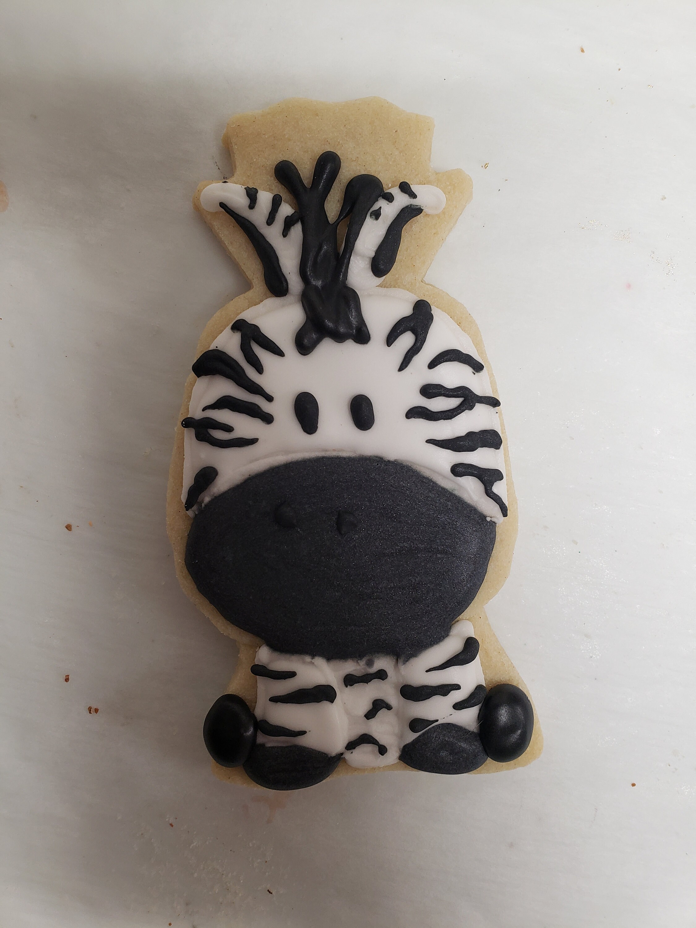 Safari Animals Decorated Sugar Cookies 12ct | Etsy