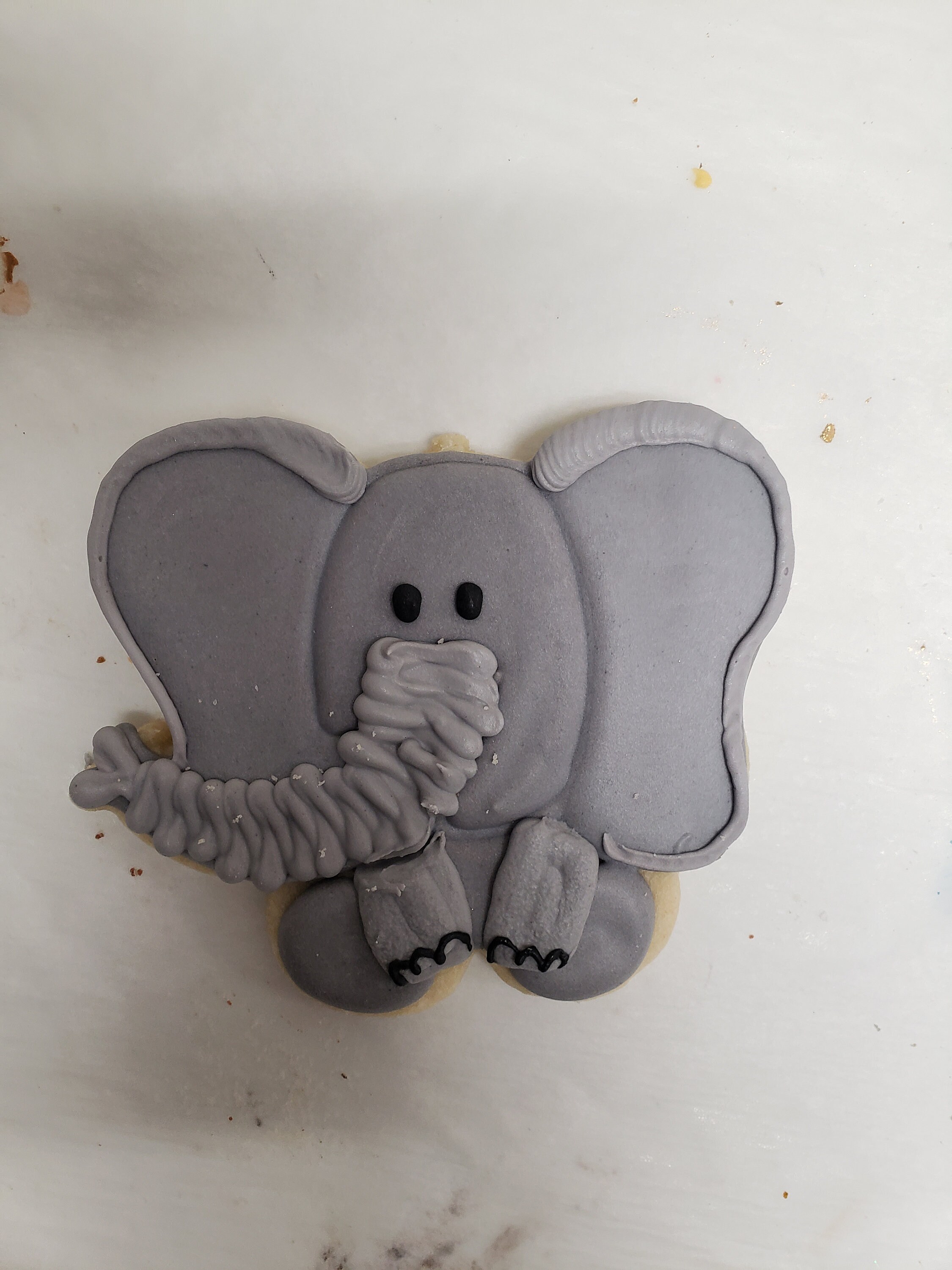 Safari Animals Decorated Sugar Cookies 12ct | Etsy