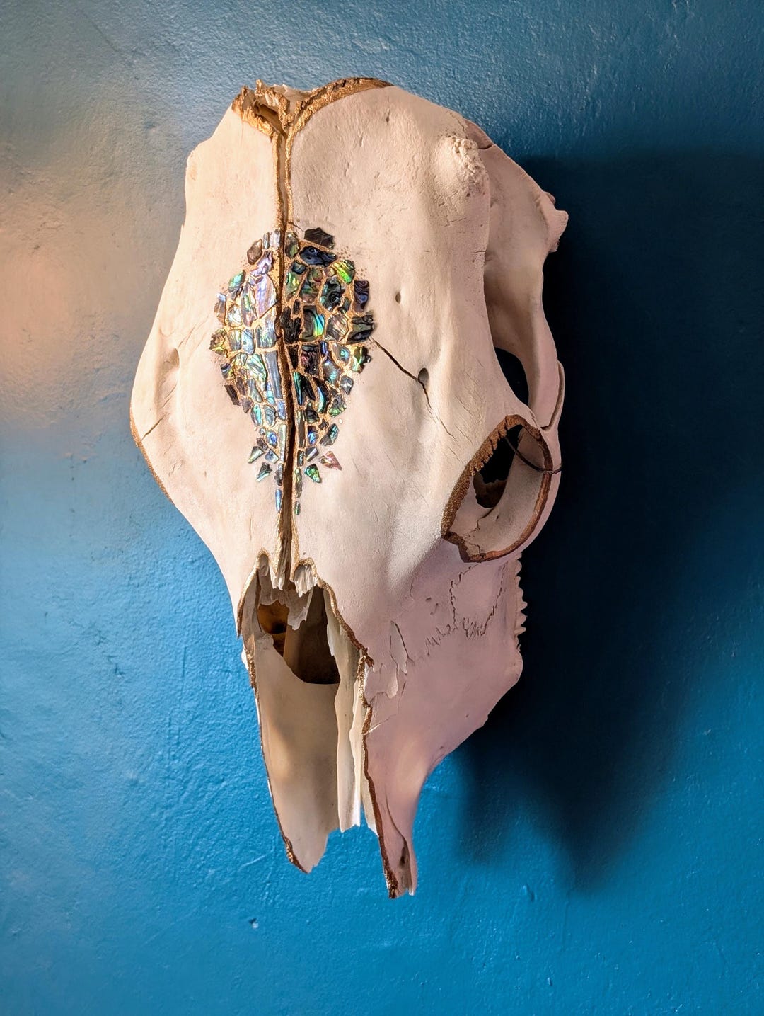 Abalone Cow Skull - Etsy
