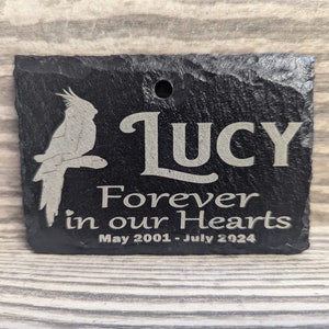 Personalized Pigeon Memorial Slate Stone: Laser Engraved Garden Marker ...
