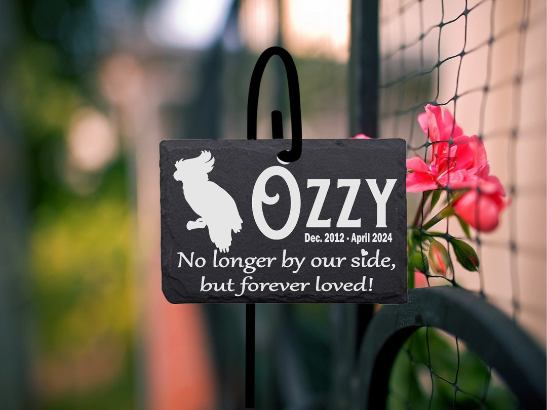 Personalized Parrot Memorial Stone: Laser Engraved Slate Garden Marker ...