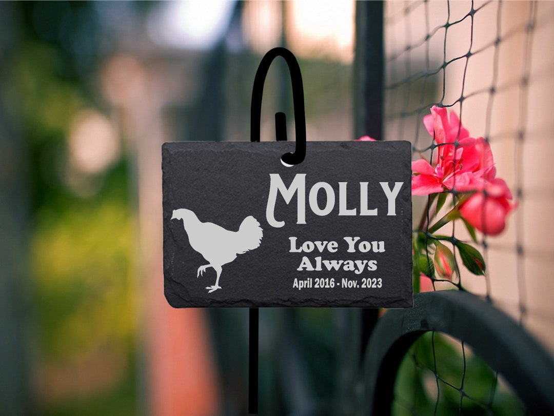 Chicken Grave Memorial Stone Sign With Shepherd's Hook Personalized ...