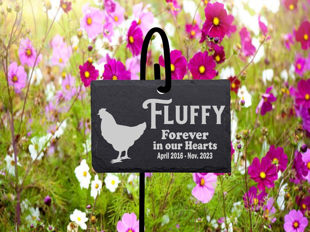 Chicken Grave Memorial Stone Sign With Shepherd's Hook Personalized ...