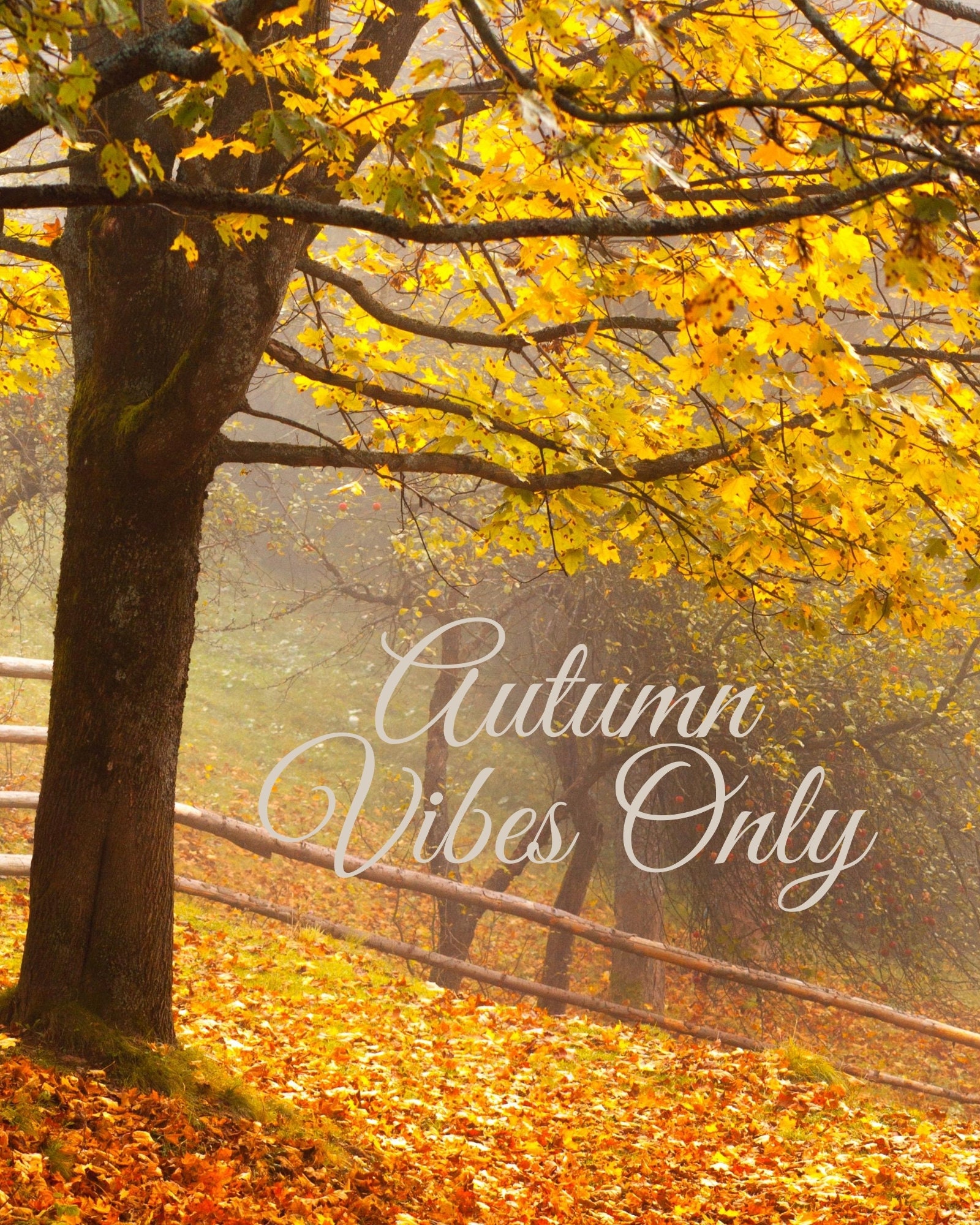 Printable Autumn Vibes Only - Etsy
