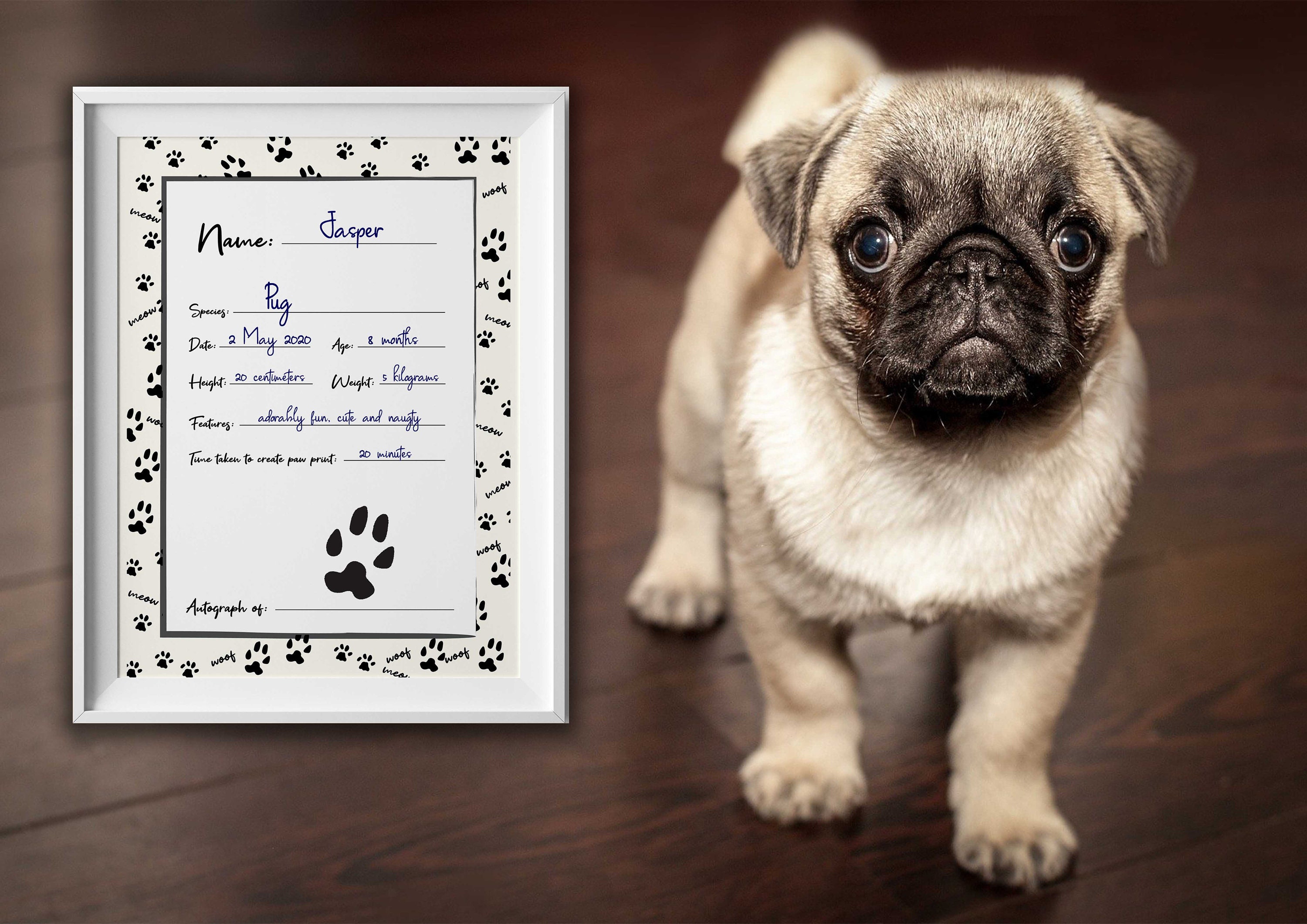 DIY Paw Print Autograph / A4 Size Dog and Cat Paw Printed Page ...