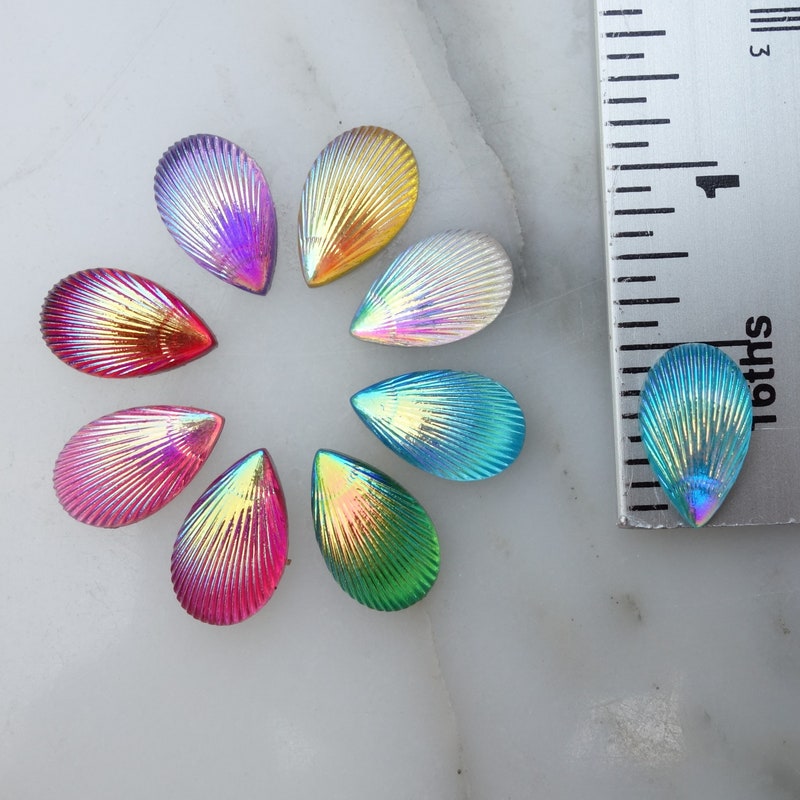 Flat Spiral Shells - Etsy