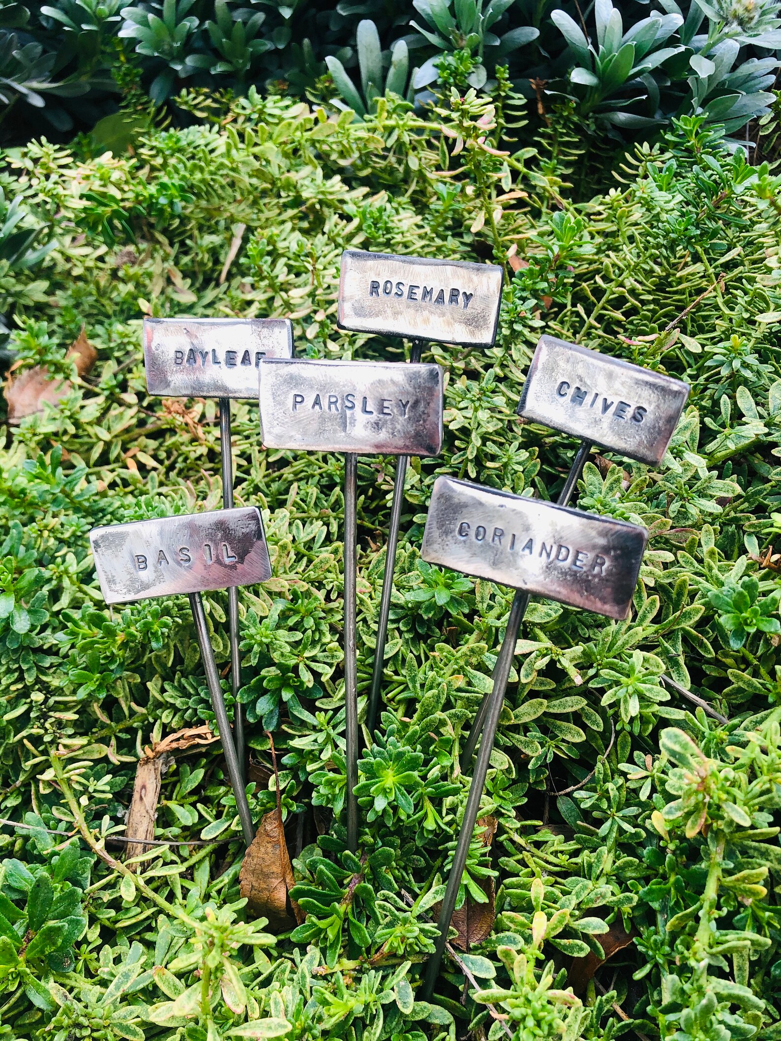 Herb Name Plates Small and Large - Etsy