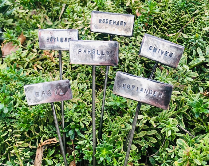 Herb Name Plates, Small and Large - Etsy Australia