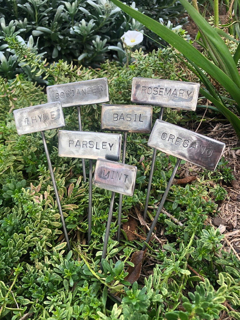 Herb Name Plates Small and Large - Etsy
