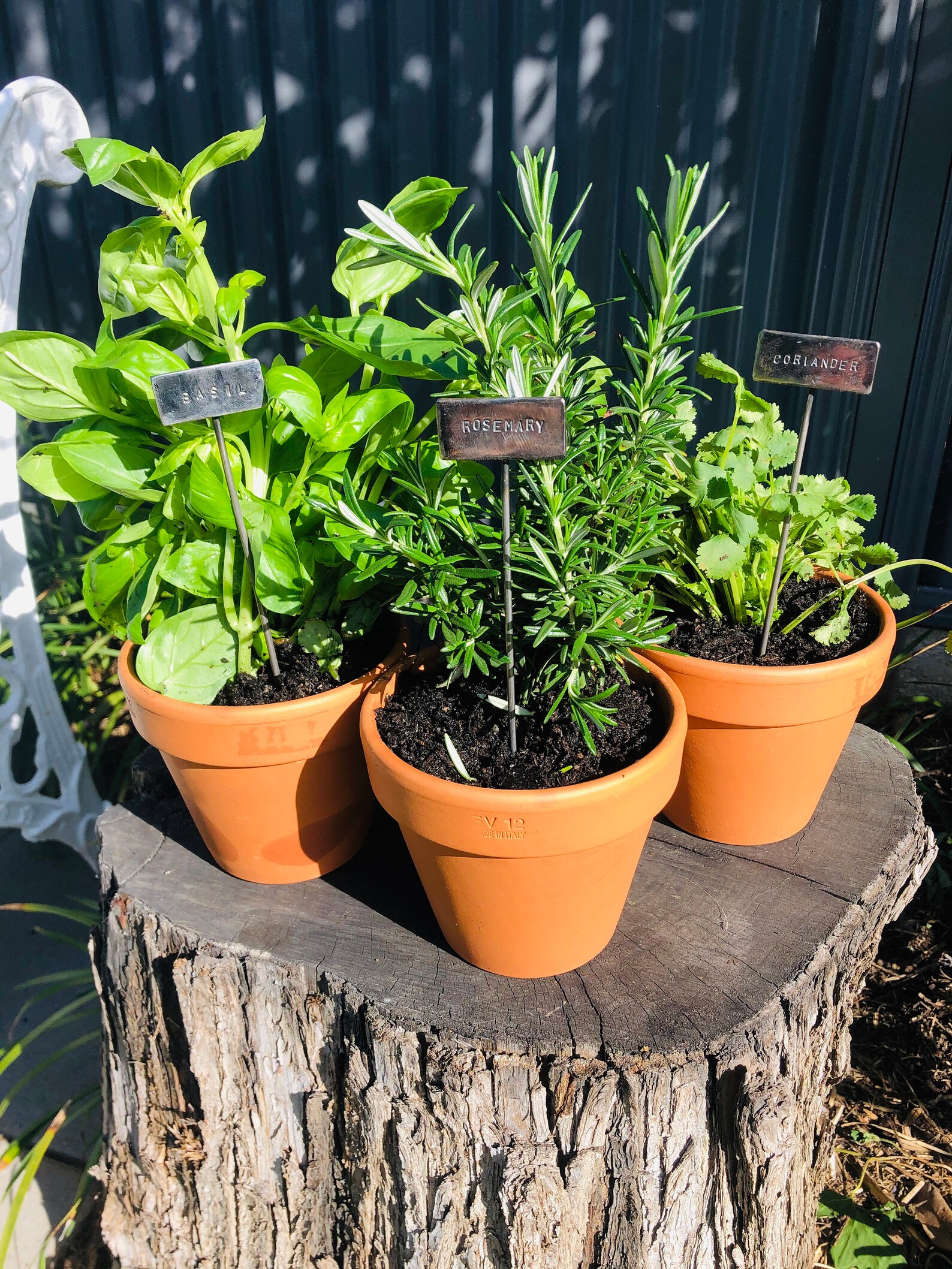 Herb Name Plates, Small and Large - Etsy Australia