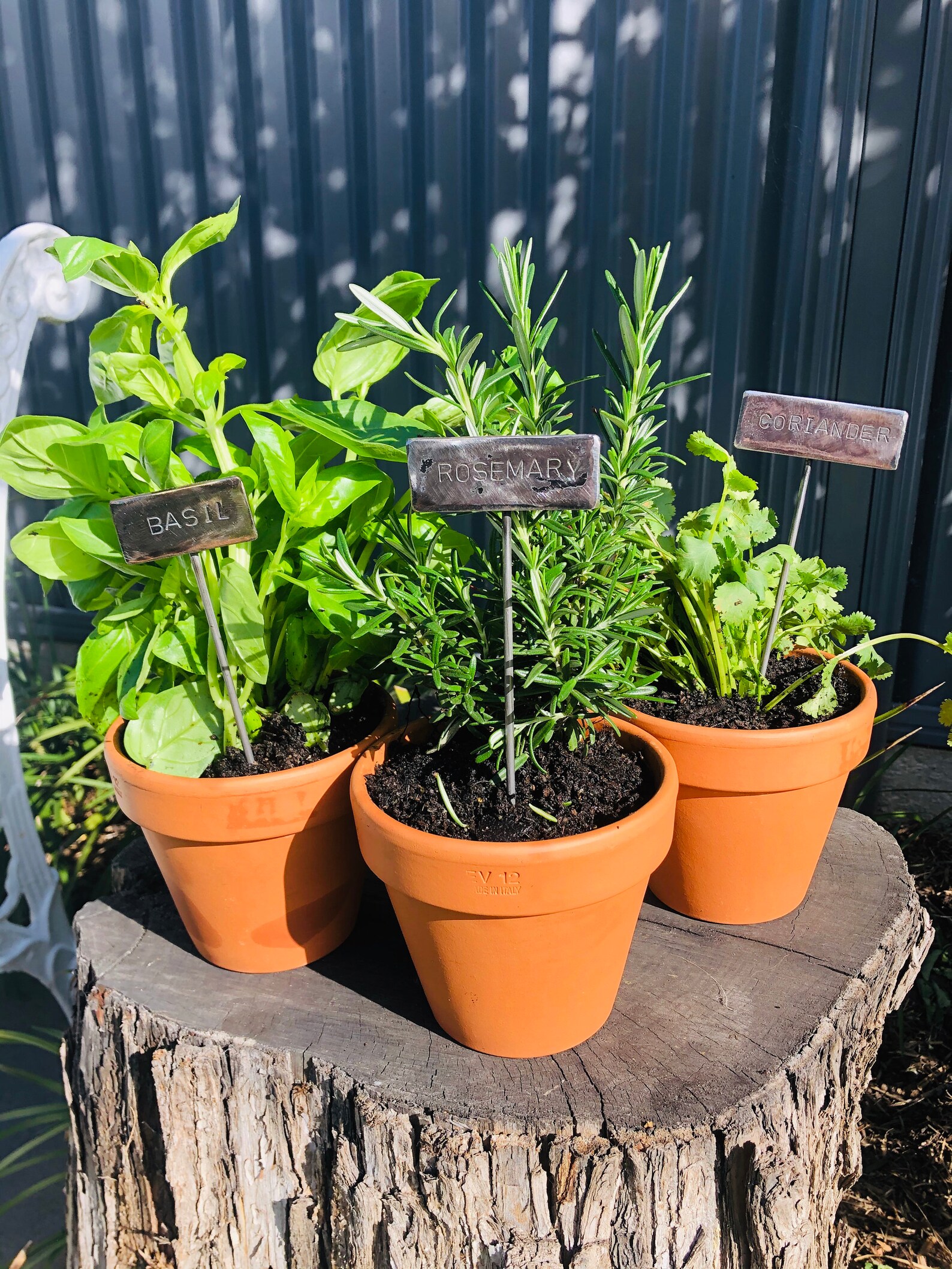 Herb Name Plates, Small and Large - Etsy Australia