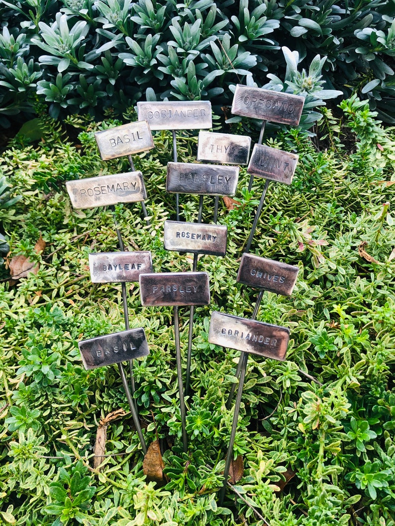 Herb Name Plates Small and Large - Etsy