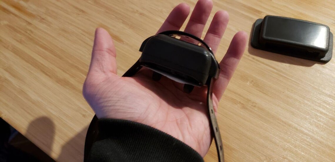 PiShock Shock Collar BDSM Internet Sex Toy for Long | Etsy