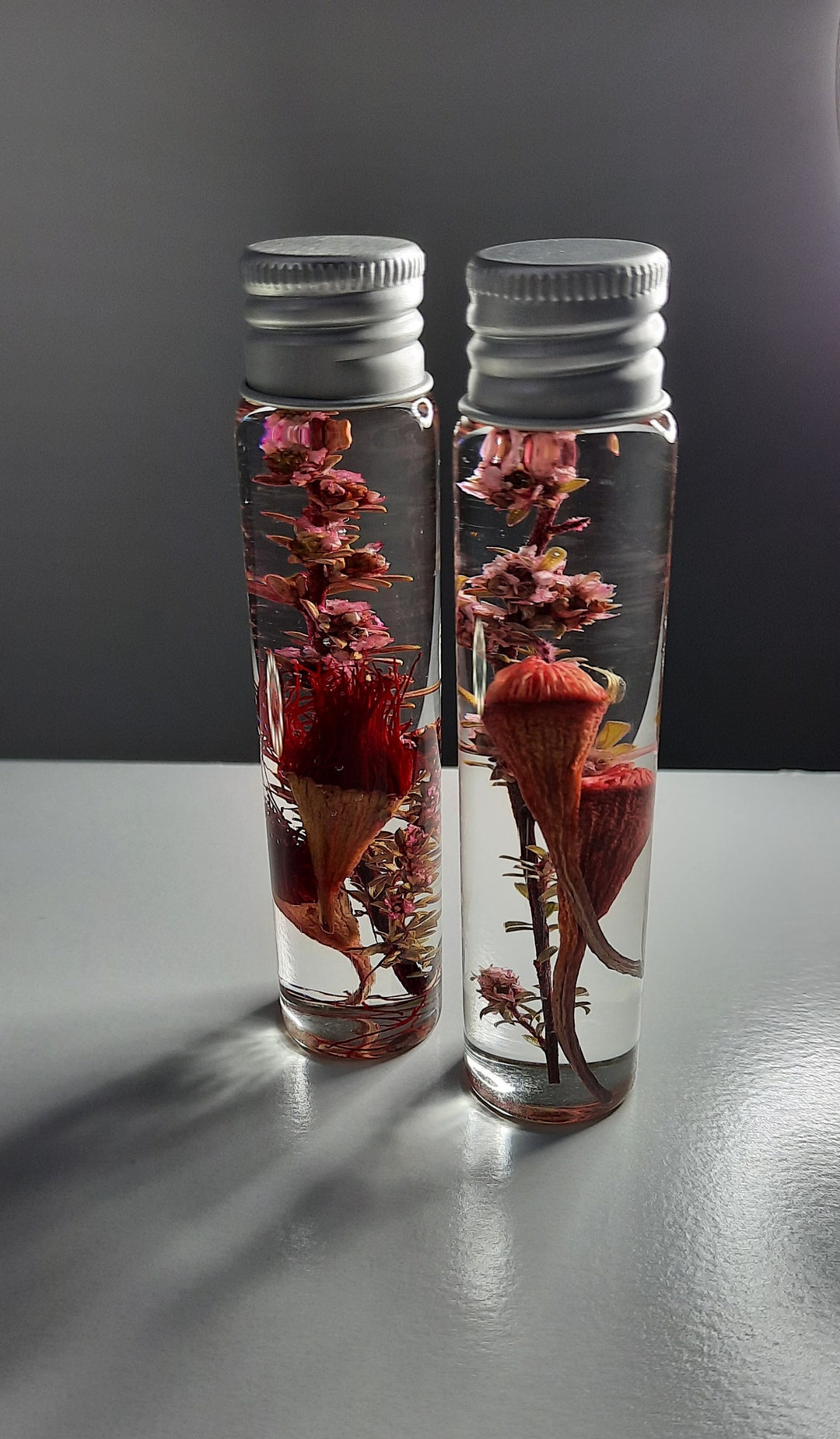 Set of 2. Dried Australian Native Flowers, Dried Australian Wild ...