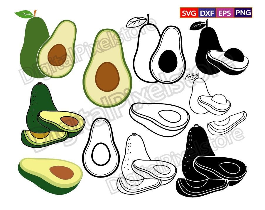 Avocado Svg Bundleavocado Svgavocado Clipartavocado - Etsy