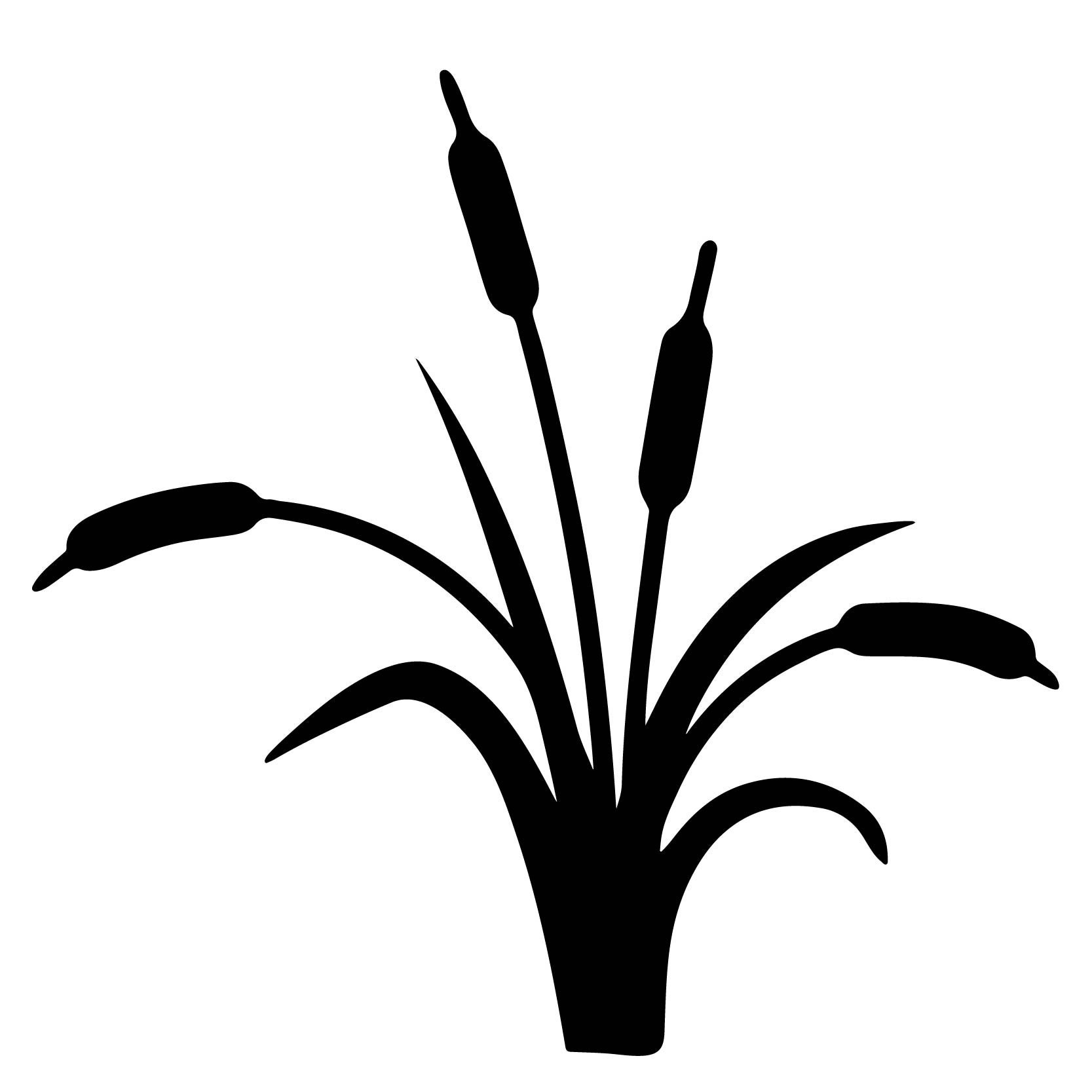 Cattail Plant SVG Bundle: Bulrush Vector Cut Files, Silhouette (digital ...