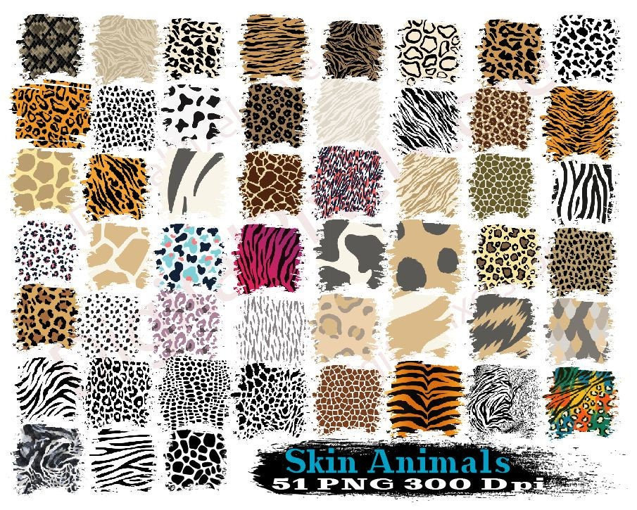 Animal Skin Patterns With Names
