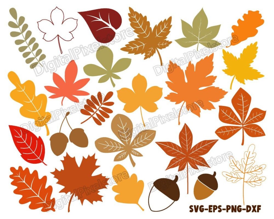 Fall Leaves SVG Bundle: Autumn Clipart, Silhouette, Vector (digital ...