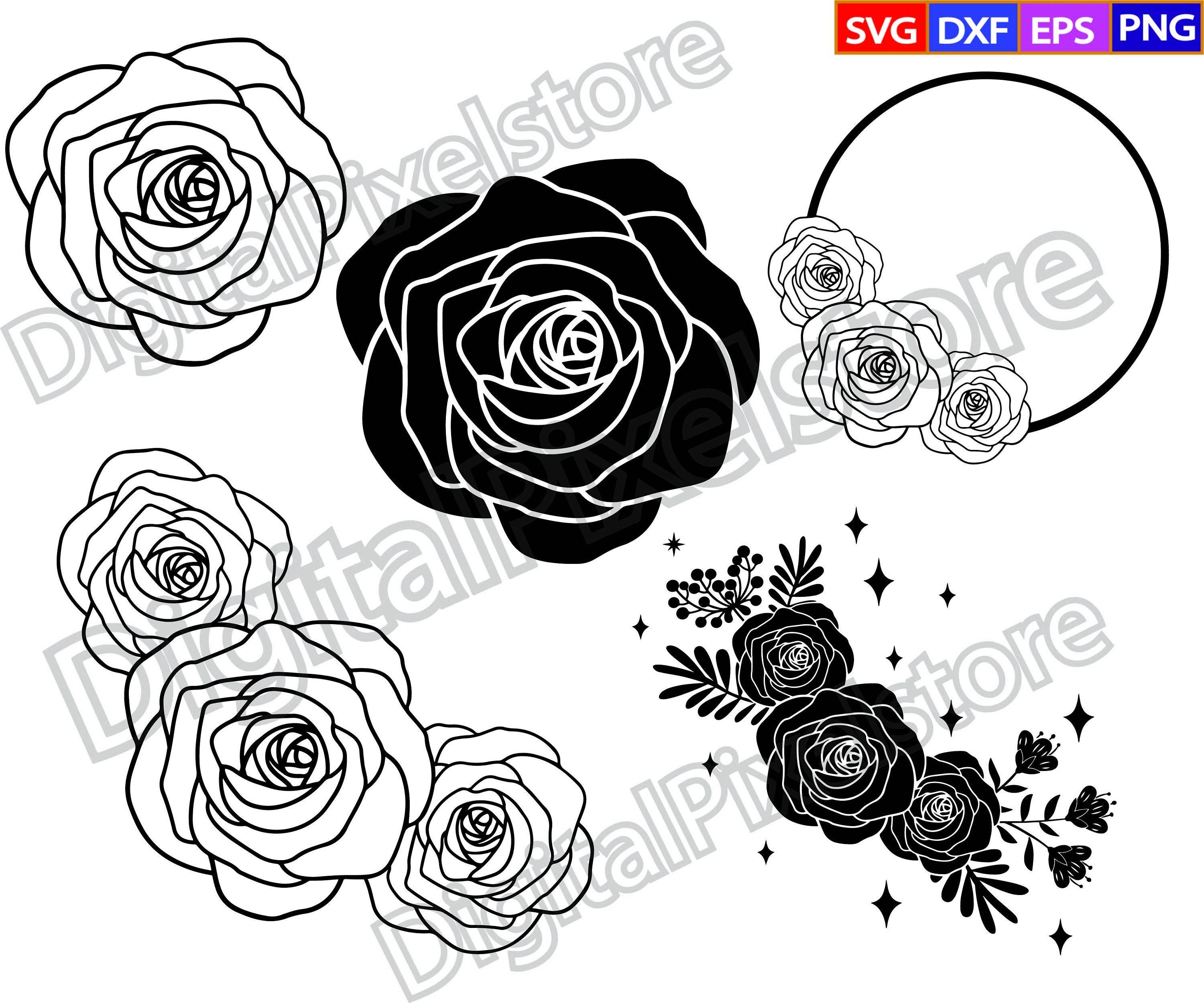 Rose Flower Vector Outline