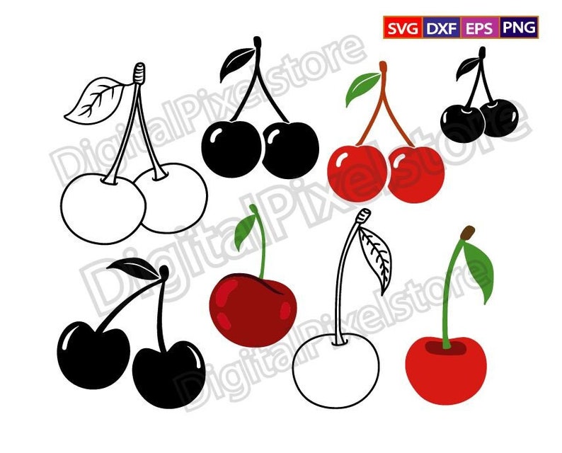 Cherry SVG Bundle, Fruit Cut File (digital Download) - Etsy