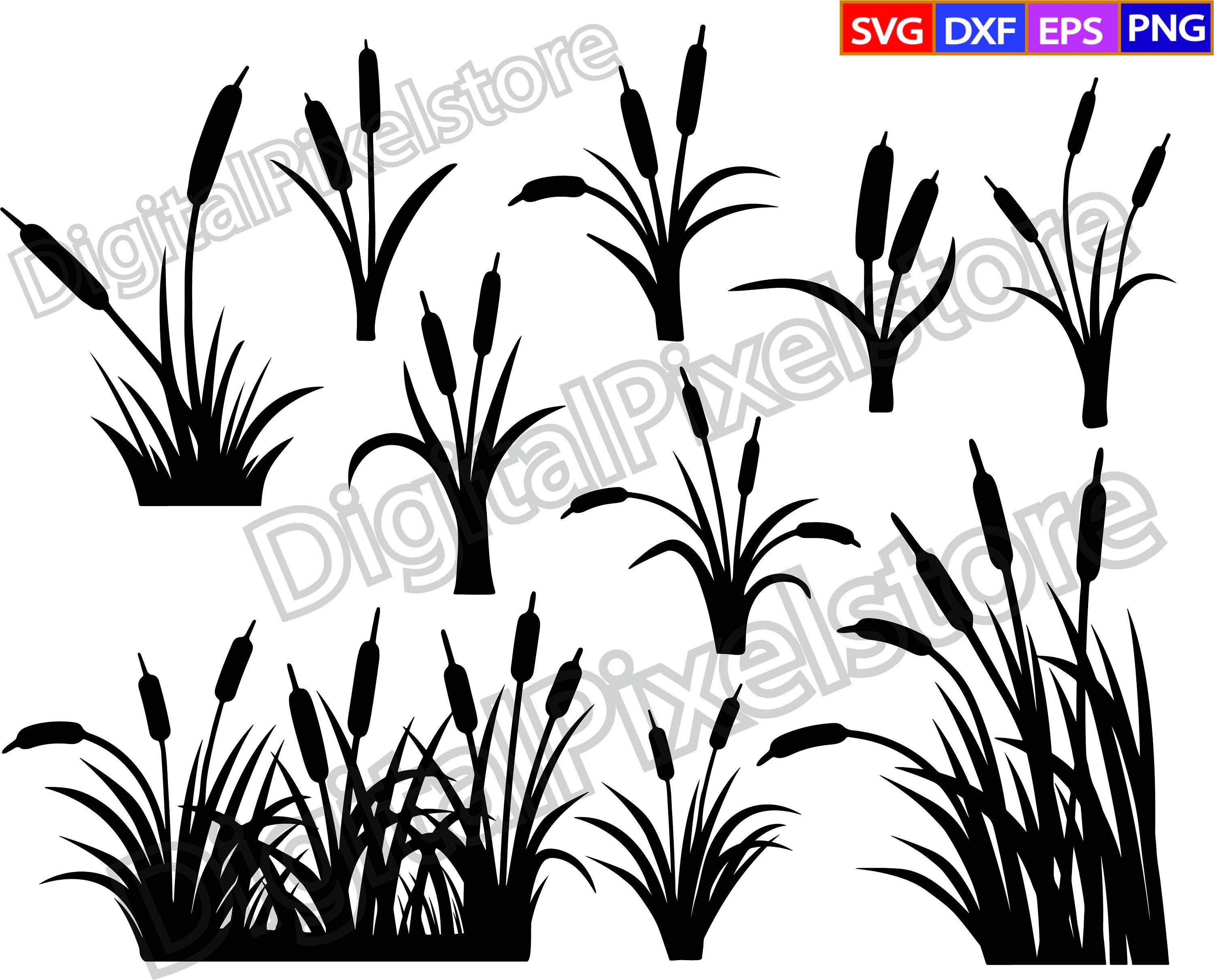 Paper, Party & Kids Dxf Bull Rush Plant Clipart Bull Rush Plant Png ...