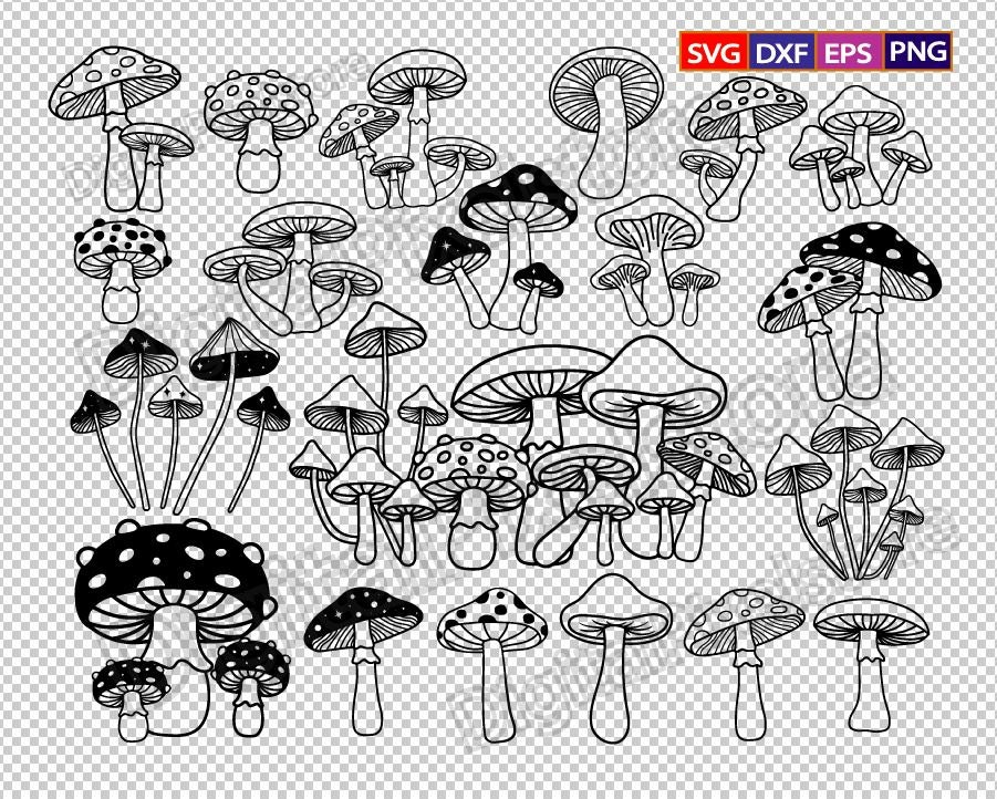 Mushroom Svg Bundlemushroom Svgmushroom Clipartmagic | Etsy UK