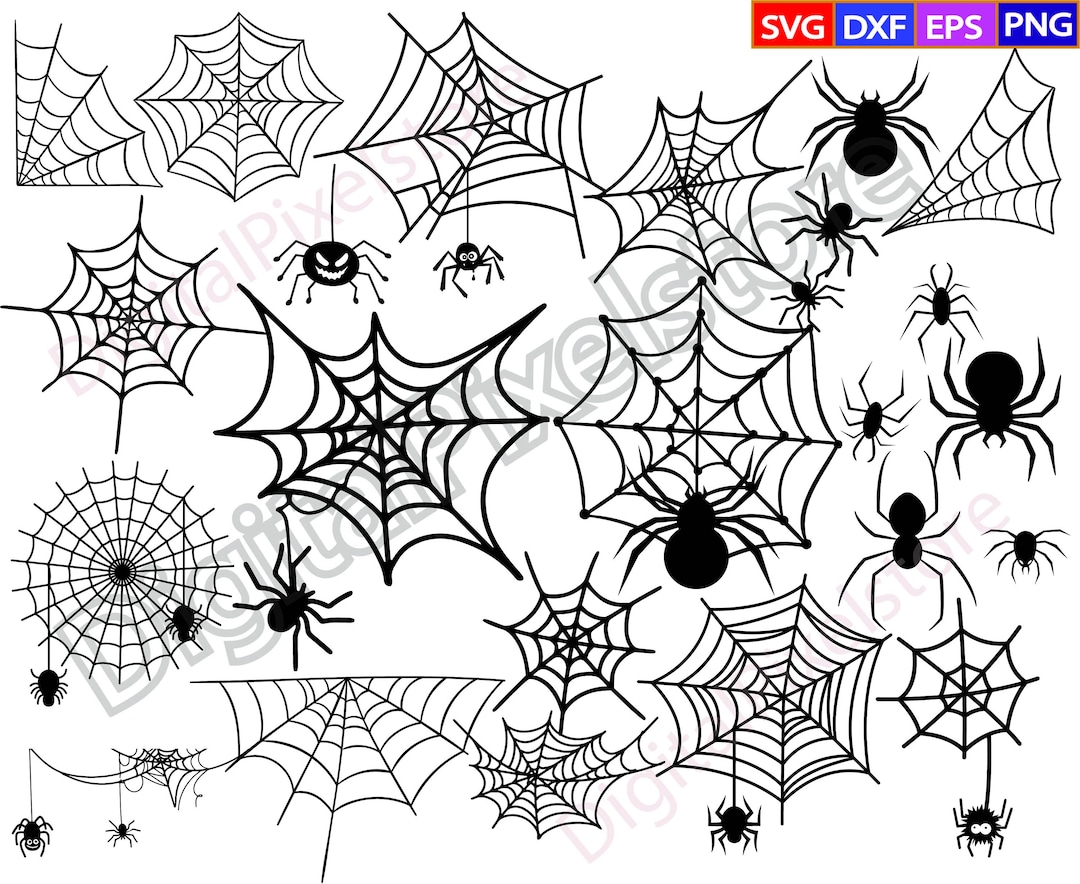 Halloween Spiderweb SVG Bundle: Cobweb Clipart, Vector, PNG, Cricut ...