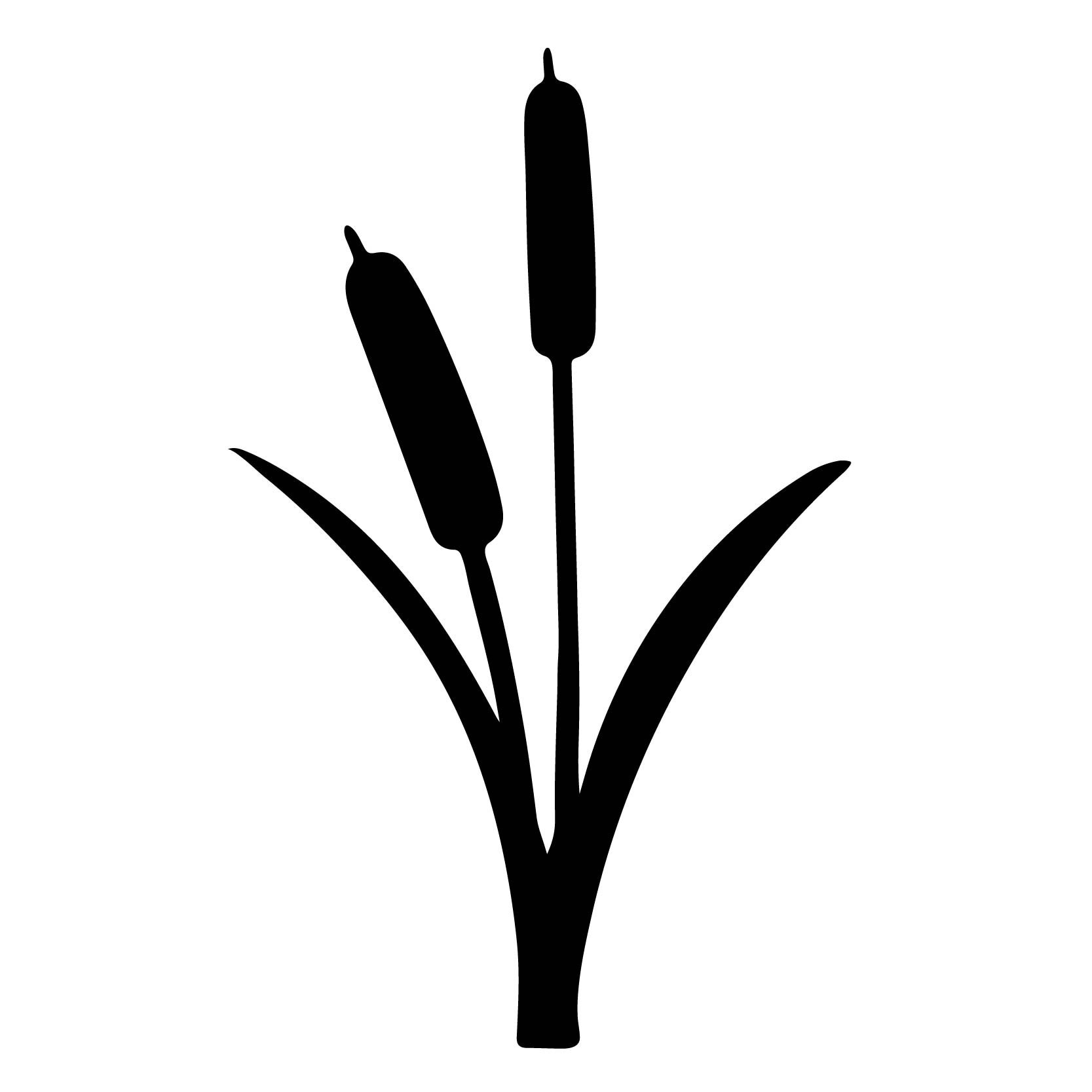 Cattail Svgcattail Flower Svgcattail Vectorcattail - Etsy Canada