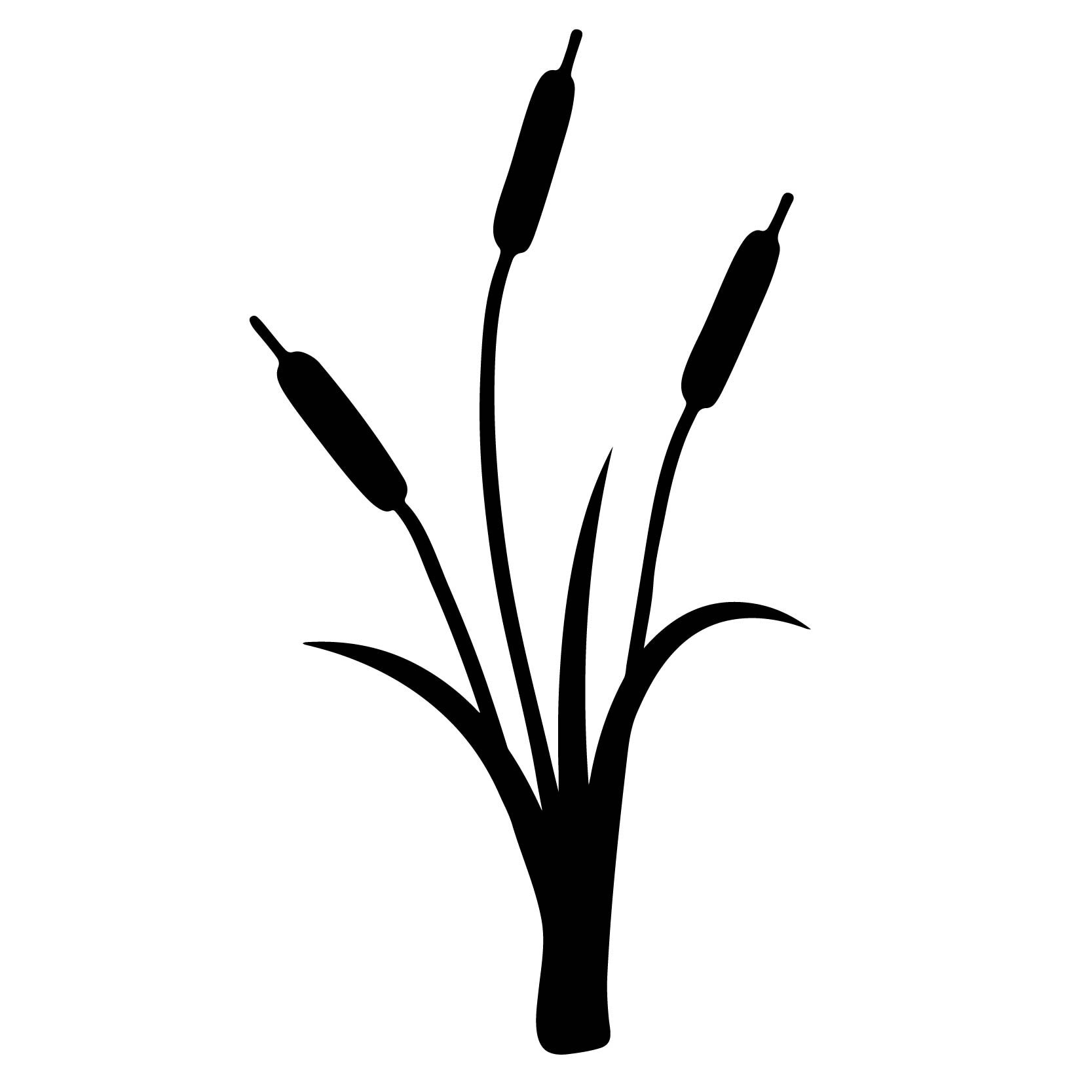 Cattail Svgcattail Flower Svgcattail Vectorcattail - Etsy Canada
