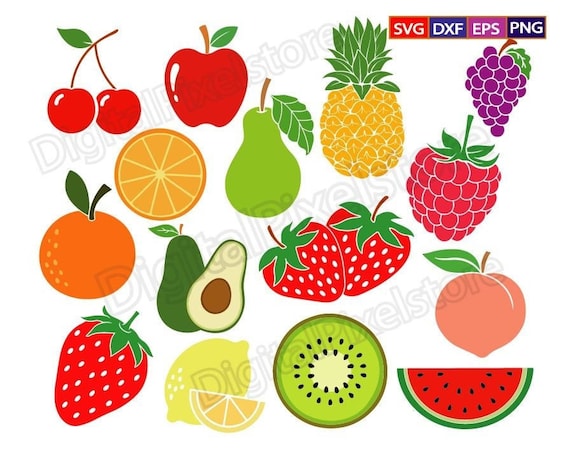Fruit Bundle Svgfruit - Etsy