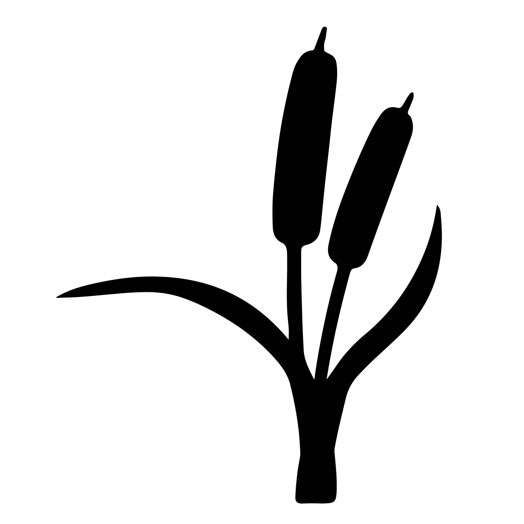 Cattail Plant SVG Bundle: Bulrush Vector Cut Files, Silhouette (digital ...