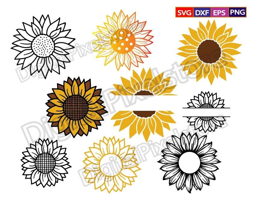 Sunflower Svgsunflower Svg Bundlesunflowers Pngsunflower | Etsy