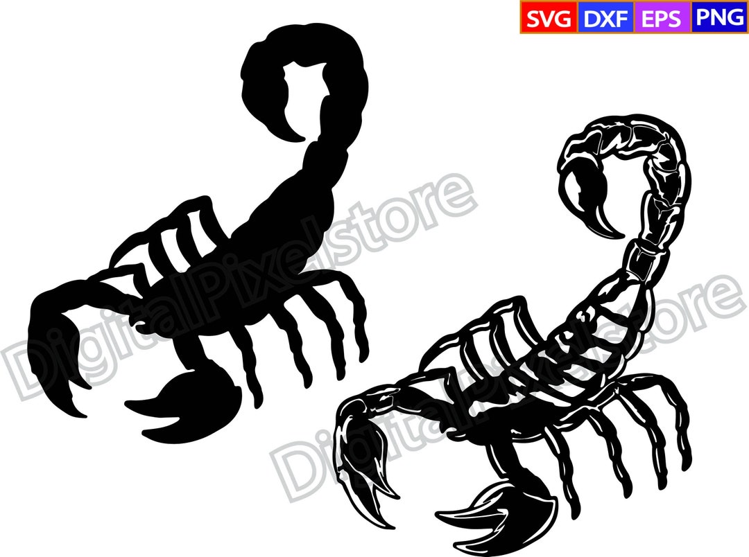 Scorpion SVG Clipart: Vector Cut Files (instant Download) - Etsy
