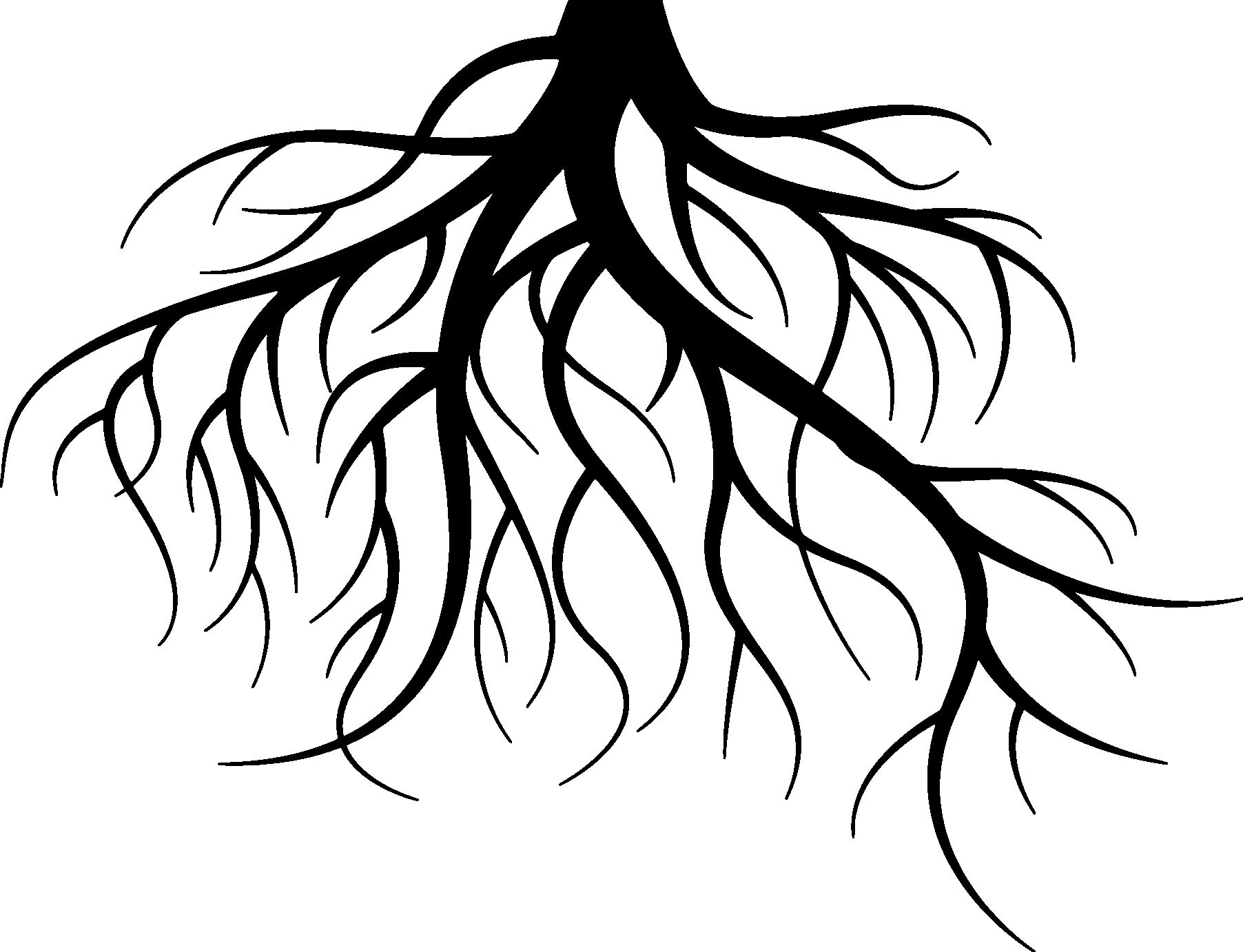 My Roots SVG