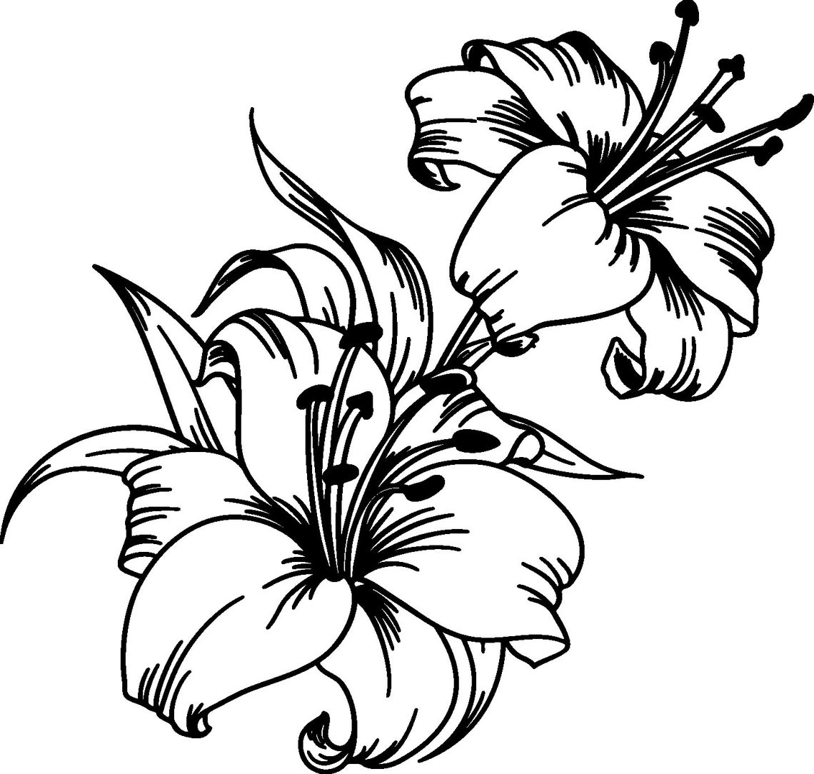 Lily Flower Svg lily SVG Flower Svg Files for Cricut Cut | Etsy