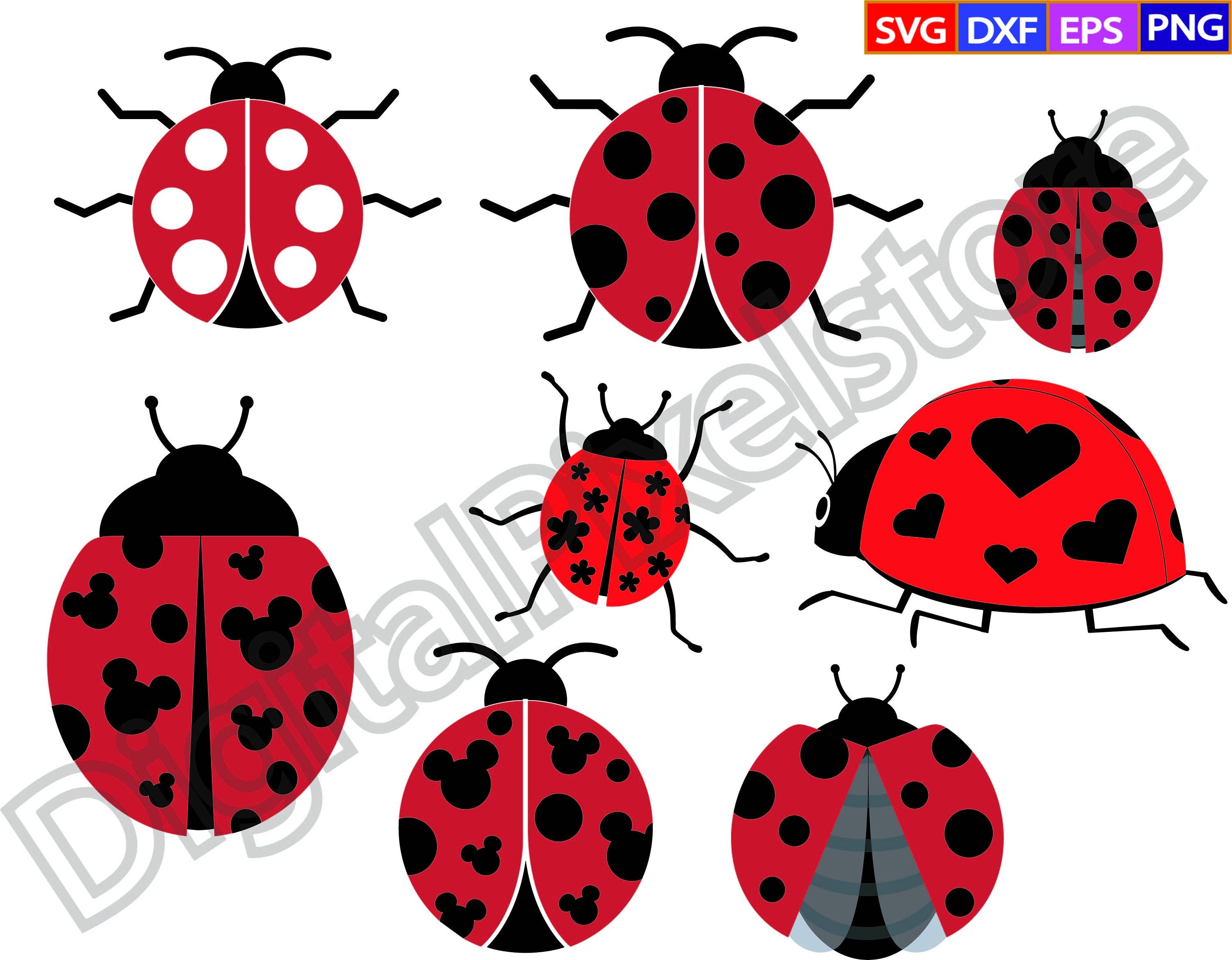 Ladybug Svgladybug Bundle Svgladybug Files for - Etsy