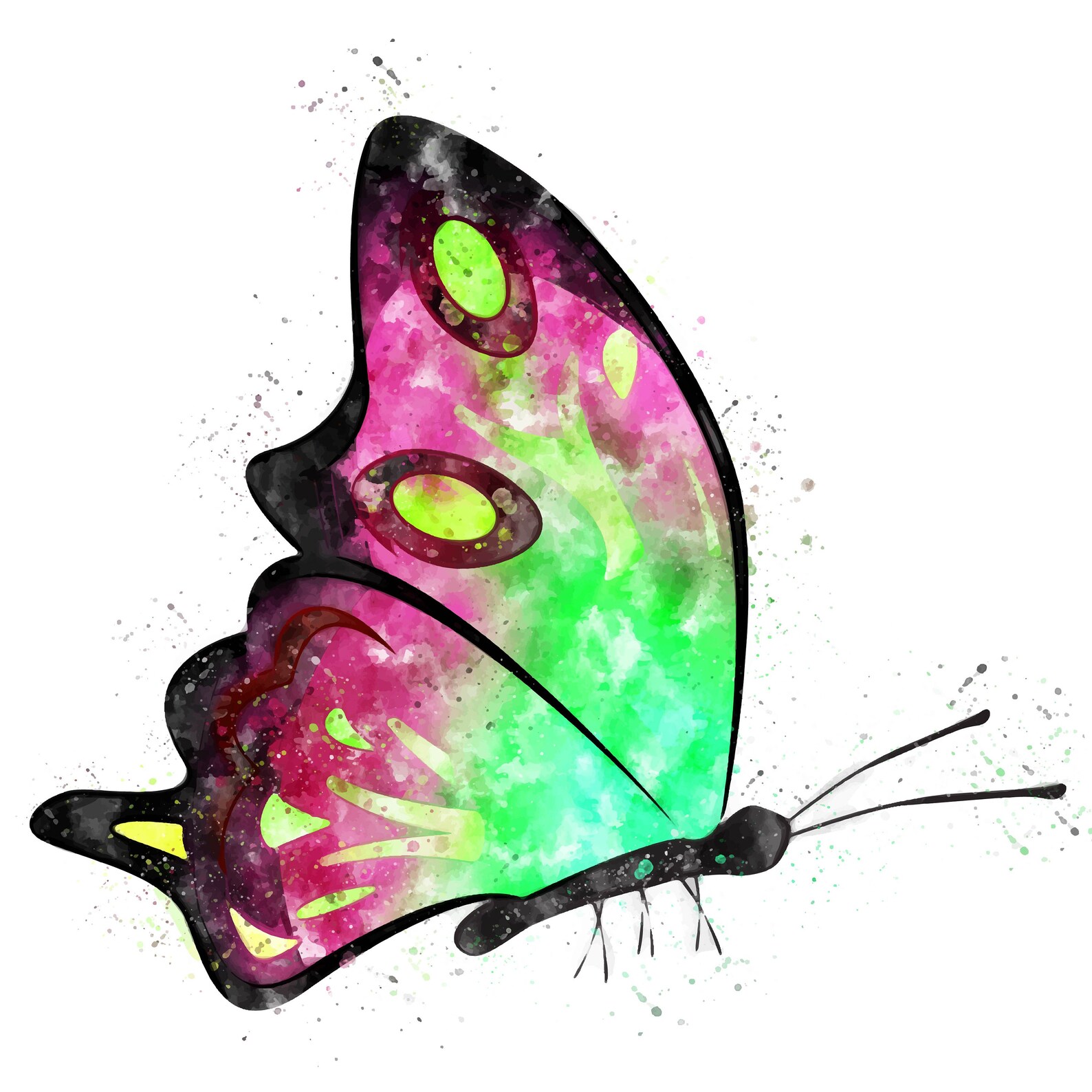 Colorful Watercolor Butterflies Clipartbutterflies Clipart - Etsy
