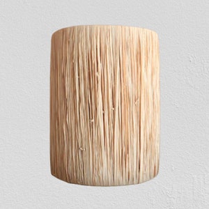 Set of 2 Raffia Wall Lamp - Etsy