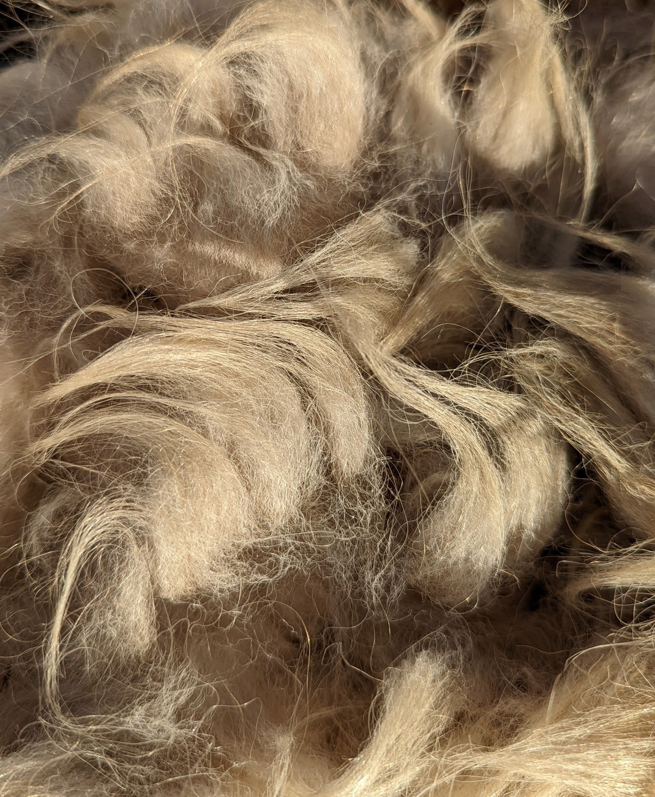 Raw Alpaca Fiber Fleece 200 Gr 7 Oz Ready for Carding Felting Stuffing ...