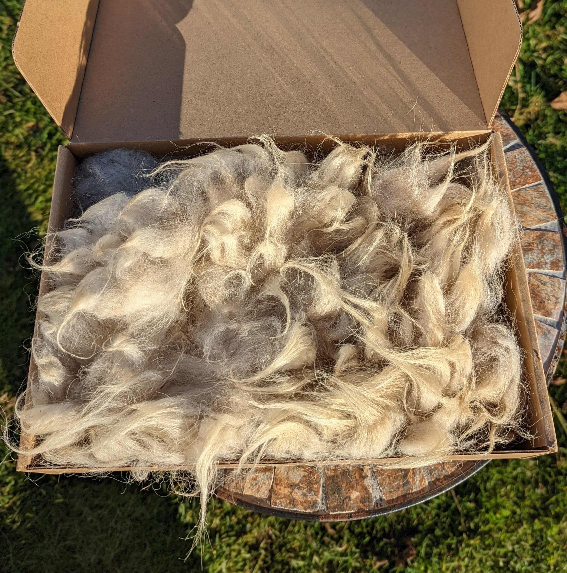 Raw Alpaca Fiber Fleece 200 Gr 7 Oz Ready for Carding Felting Stuffing ...