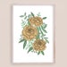 Marigold Art Print Fine Line Floral Art | Etsy