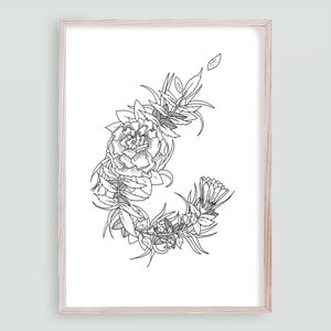 Marigold Art Print Fine Line Floral Art - Etsy