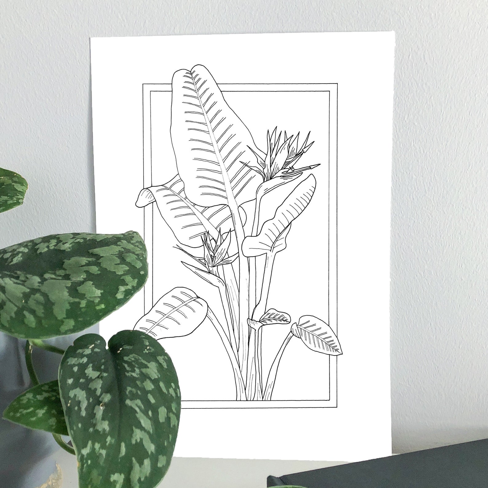 Bird of Paradise Art Print | Fine Line Floral Art - Etsy Australia