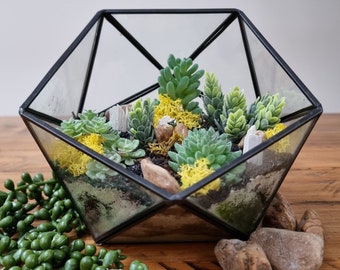 Geometric Terrarium | Etsy UK