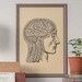 Anatomical Head Poster, Vintage Cranium Ink Sketch, Brain Anatomy ...