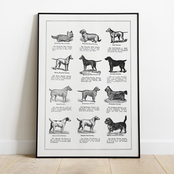 Dog Breeds Poster - Etsy