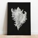 Sea Shell Marine Poster, Marine Life Illustration, Fauna and Flora Wall ...