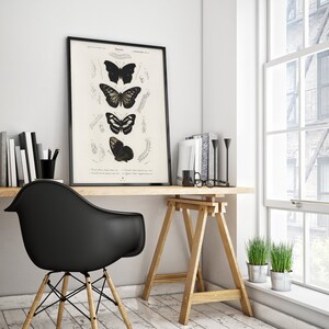 Black Butterfly Poster Fauna and Flora Wall Art, Insect Art, Halloween ...
